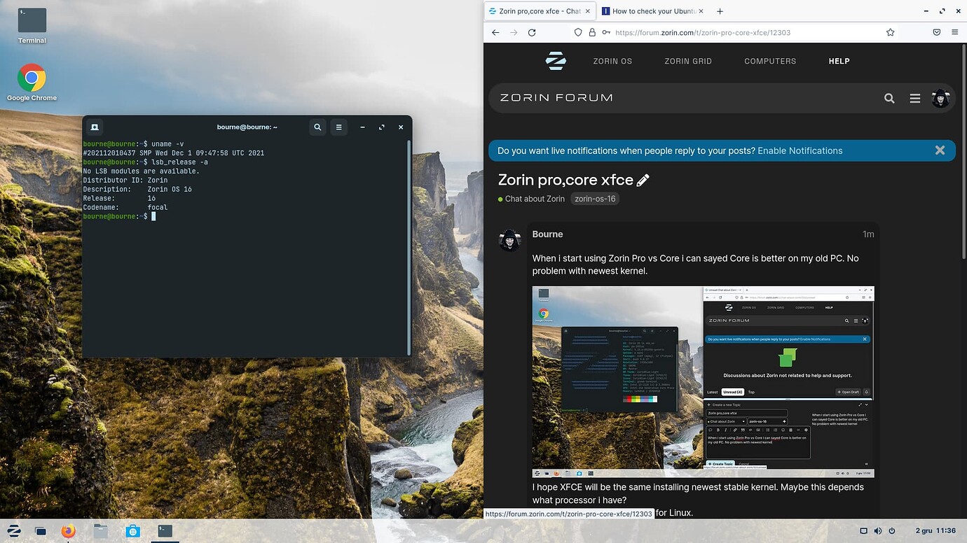Zorin Pro & Core & Lite - Chat about Zorin - Zorin Forum