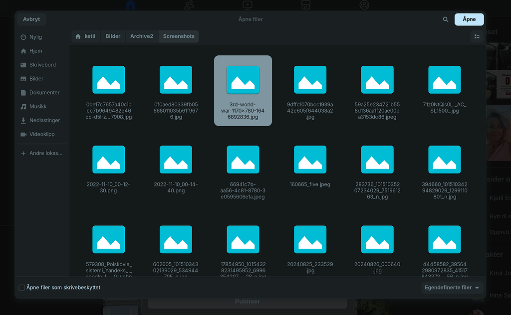 Preview of images does not appear when I try to retrieve one image from ...