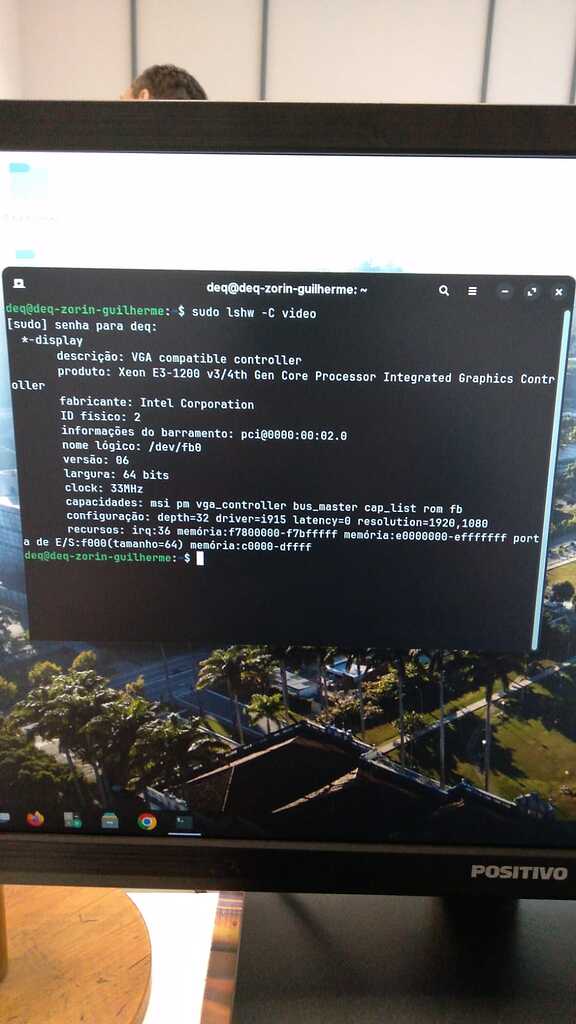 Issues with Video and Audio Playback after Zorin OS Update - General Help - Zorin Forum