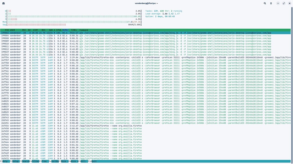 Gjs keeps consuming RAM until everything crashes - General Help - Zorin Forum